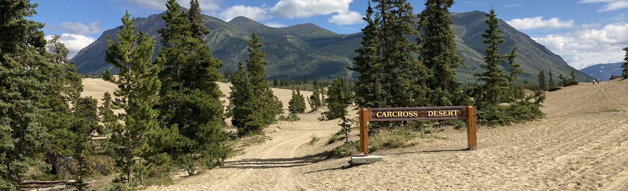 Carcross Desert Viewpoint: 58 Reviews, Map - Yukon, Canada | AllTrails