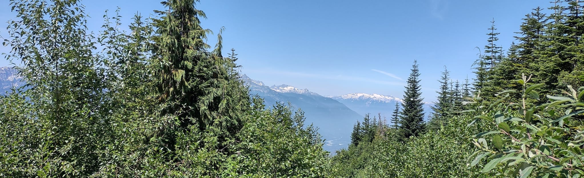 Mount Mulligan Trail : 51 foto's - Brits-Columbia, Canada | Wandelen ...