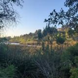 Discovery Lake via the Gratitude Trail, California - 885 Reviews, Map ...