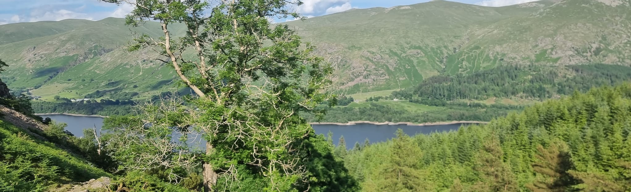 Great How Wood - Raven Crag - High Seat - High Tove Circular | Map ...