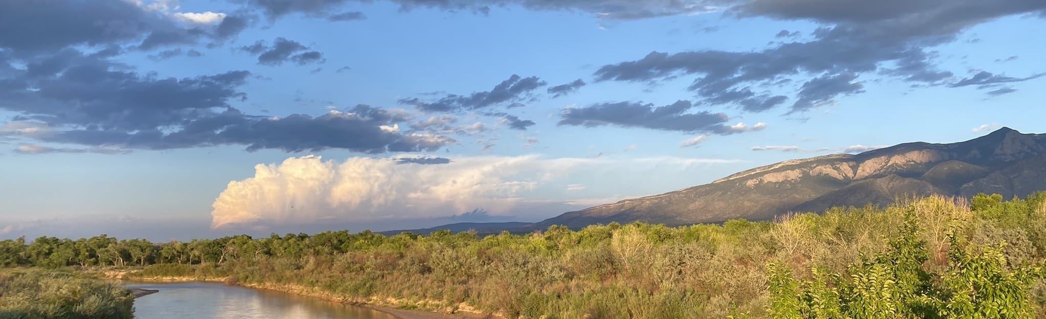 Rio Rancho Bosque South Trail: 253 Reviews, Map - New Mexico | AllTrails