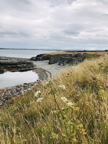 2023 Best Mountain Biking Trails in Anglesey Area of Outstanding ...