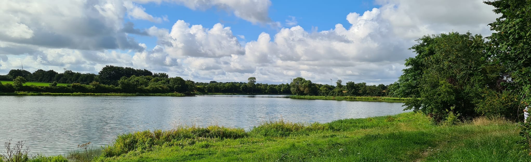Circuit of the Pond of Beusse: 36 Reviews, Map - Loire-Atlantique ...