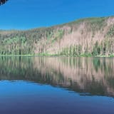 Badger Lake Trail, Oregon - 64 Reviews, Map | AllTrails