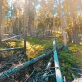 Badger Lake Trail, Oregon - 64 Reviews, Map | AllTrails