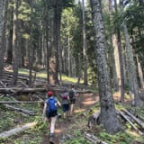 Badger Lake Trail, Oregon - 64 Reviews, Map | AllTrails