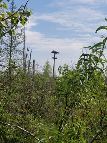 Best Hikes and Trails in Cross Lake Provincial Park | AllTrails