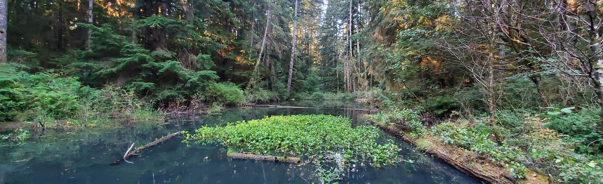 North Ridge and Ridge: 10 Reviews, 29 Photos, Map - British Columbia ...