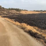 Tom Macmichael Senior Trail, California - 204 Reviews, Map | AllTrails