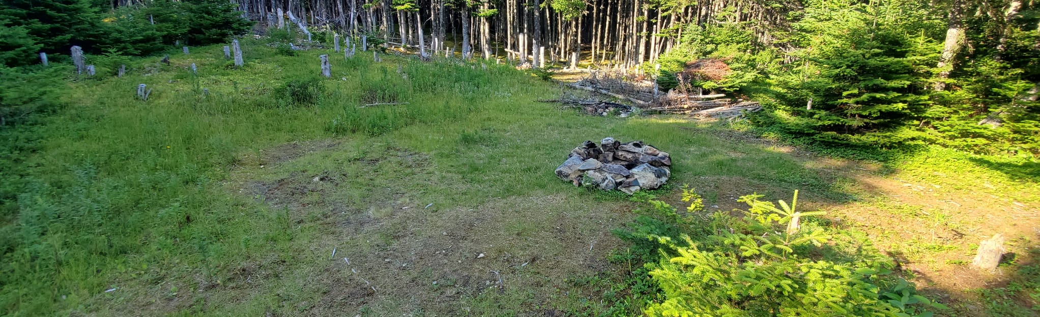 George's Pond Loop, Newfoundland and Labrador, Canada - 68 Reviews, Map ...