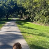 Cabbage Tree Creek, Queensland, Australia - 97 Reviews, Map | AllTrails