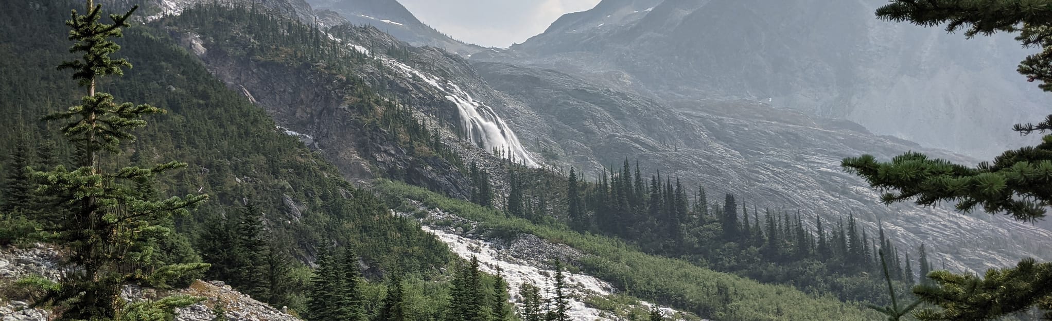 Sir Donald Trail, British Columbia, Canada - 63 Reviews, Map | AllTrails