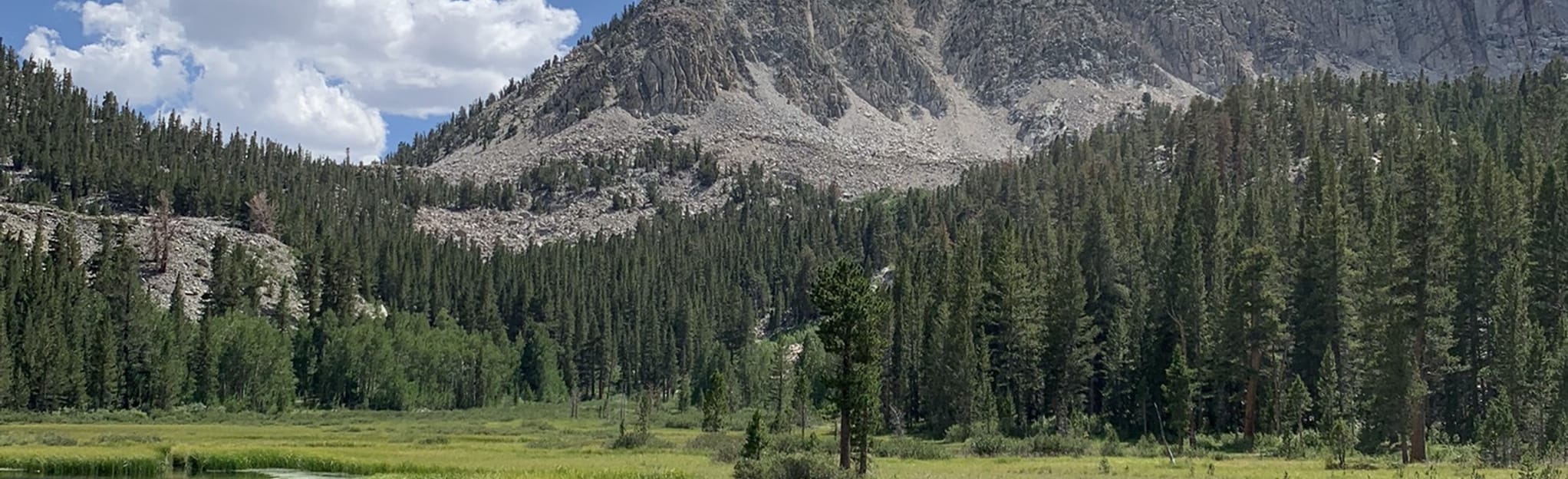 Grass Lake Loop: 36 Reviews, Map - California | AllTrails