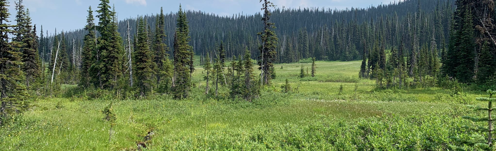 Raven Lake via Grizzly Trail: 3 Reviews, Map - British Columbia, Canada ...