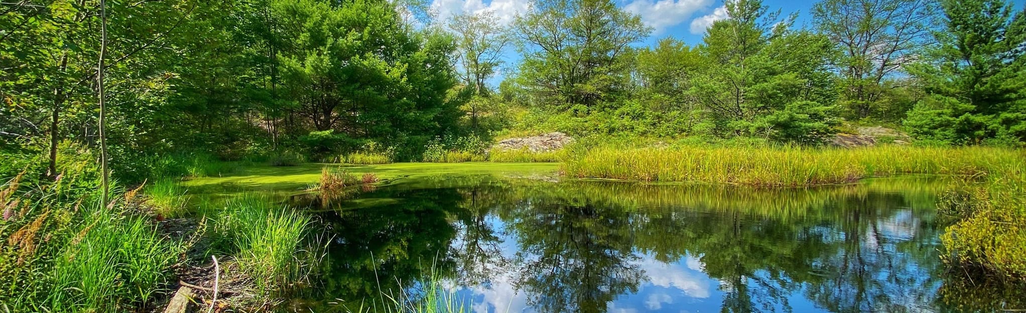 Ragged Rapids Loop: 90 Reviews, Map - Ontario, Canada | AllTrails