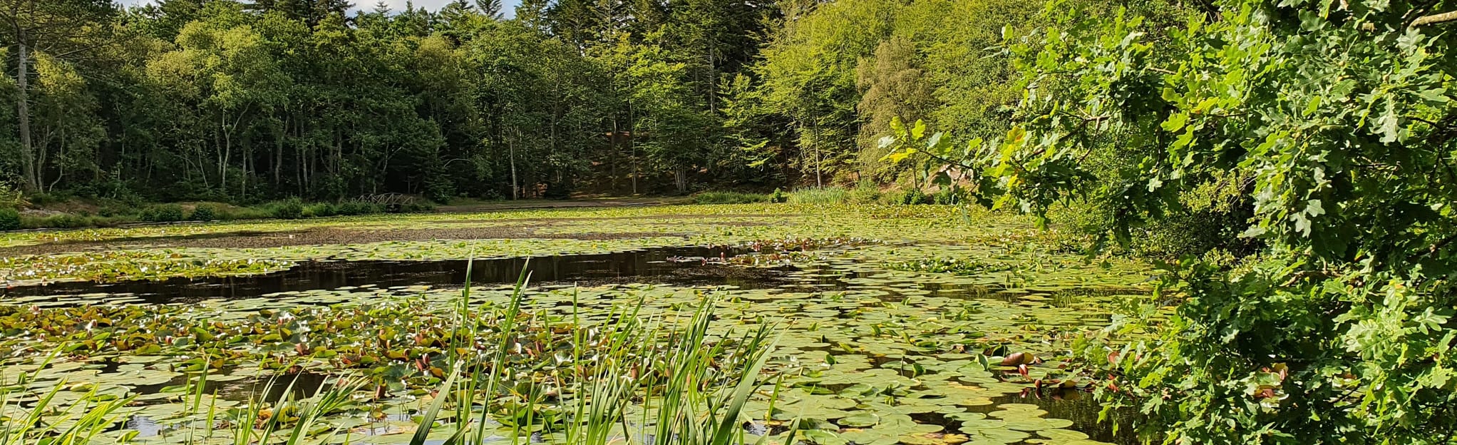 Tverstedsøerne - Østerklit: 11 Reviews, Map - North Denmark, Denmark ...