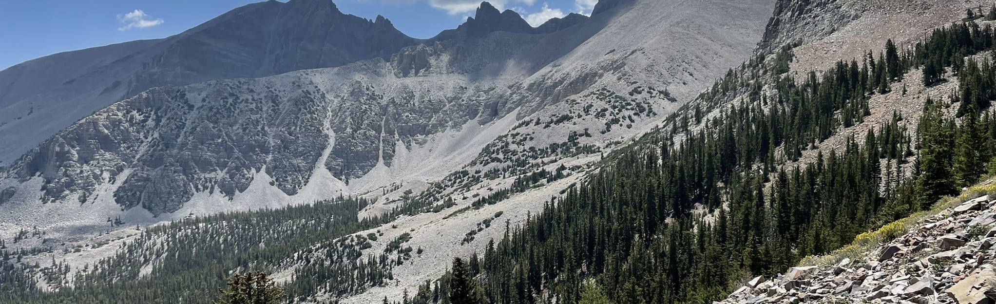 Wheeler Peak Trail via Stella Lake Trail: 705 Reviews, Map - Nevada ...