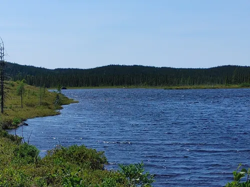 Best Hikes and Trails in Happy Valley-Goose Bay | AllTrails