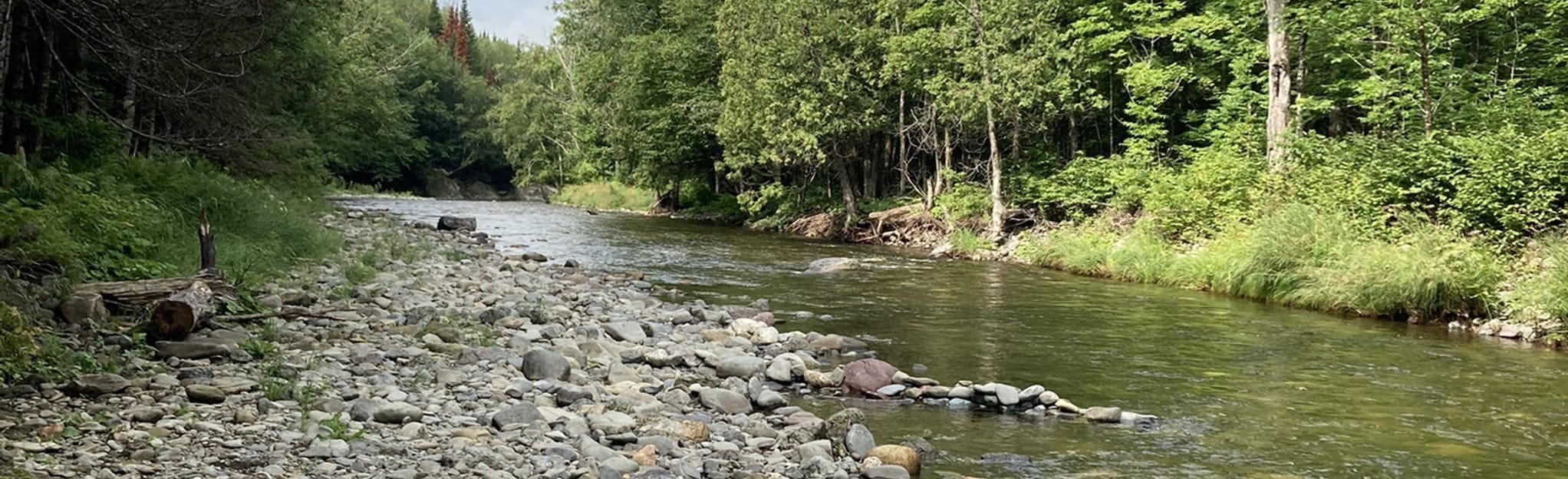 Shiktehawk Trail, New Brunswick, Canada - 28 Reviews, Map | AllTrails