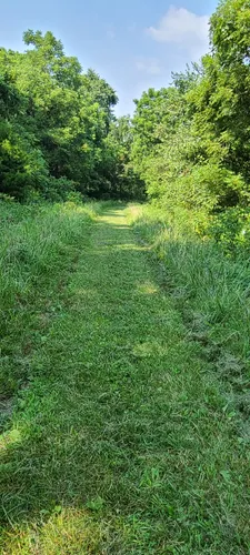 Best Hikes and Trails in Fort Crowder Conservation Area | AllTrails