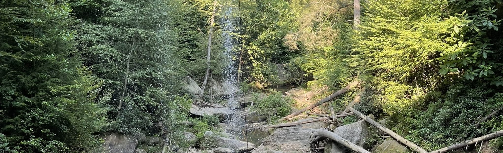 Broke Leg Falls Trail, Kentucky - 110 Reviews, Map | AllTrails