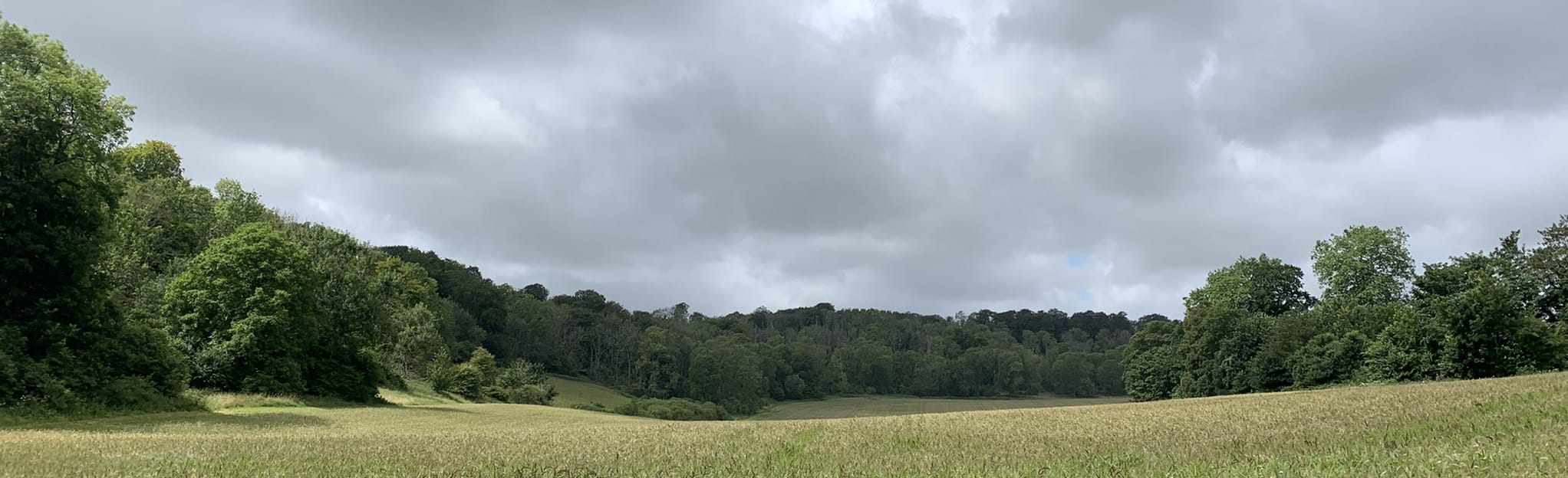 Amberley and Findon Valley Circular: 4 Reviews, Map - West Sussex ...