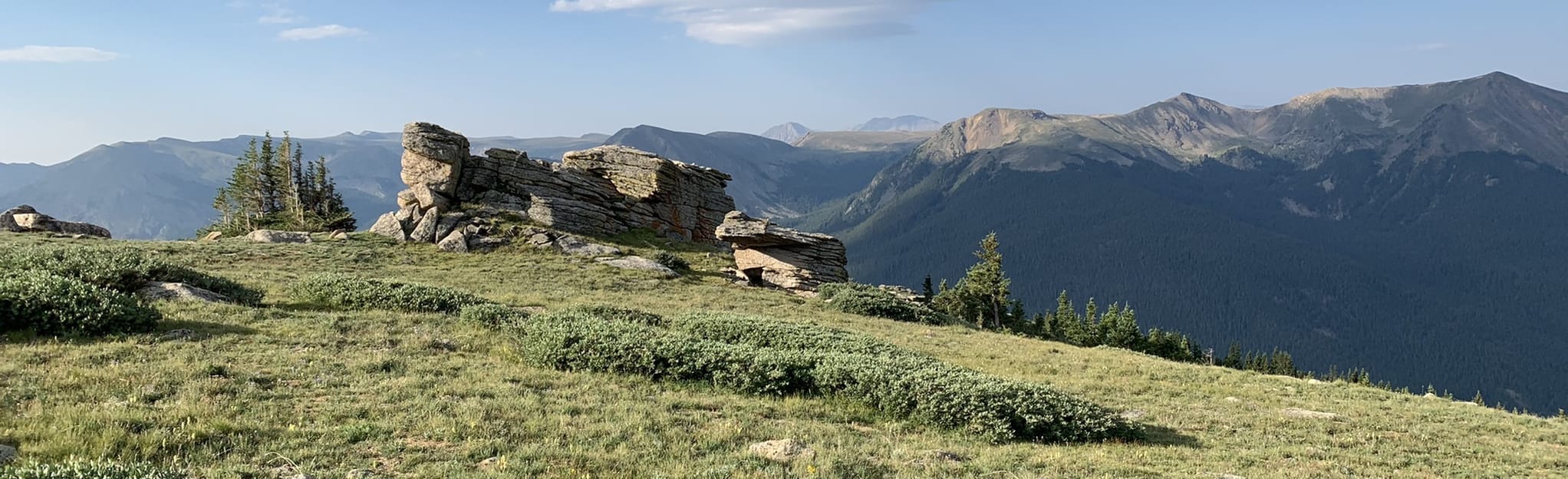 Lenawee Trail | Map, Guide - Colorado | AllTrails