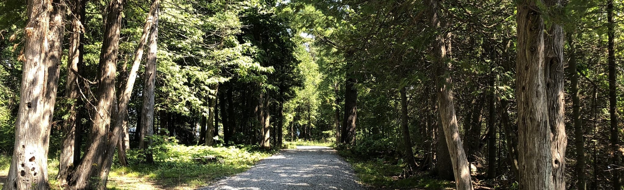Plantation Trail : 17 Reviews, Map - Ontario, Canada | AllTrails