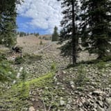 Sharkstooth Pass Trail, Colorado - 157 Reviews, Map | AllTrails