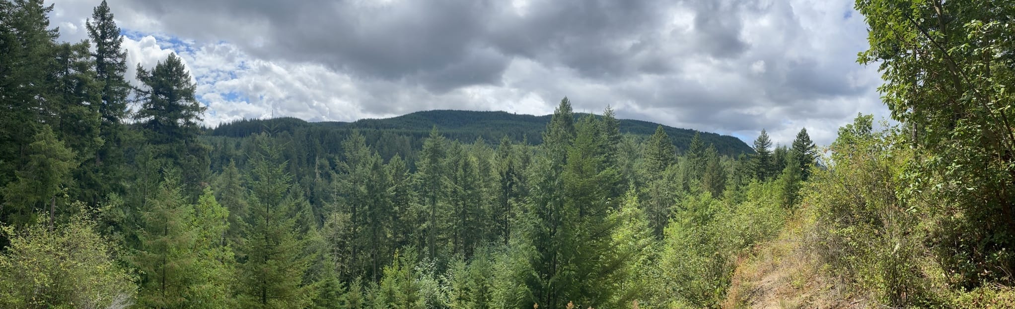 Mashel River Loop: 223 foto - Washington | AllTrails