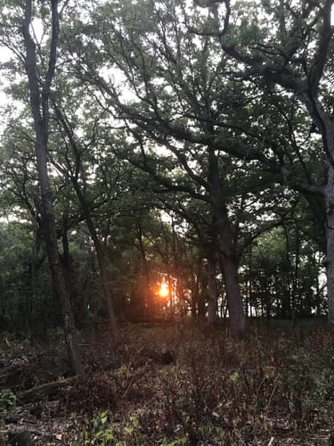 Best Hikes and Trails in Stickney Run Conservation Area | AllTrails