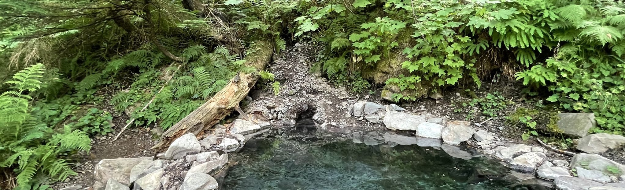 Boulder Lake Trail, Washington - 11 Reviews, Map | AllTrails