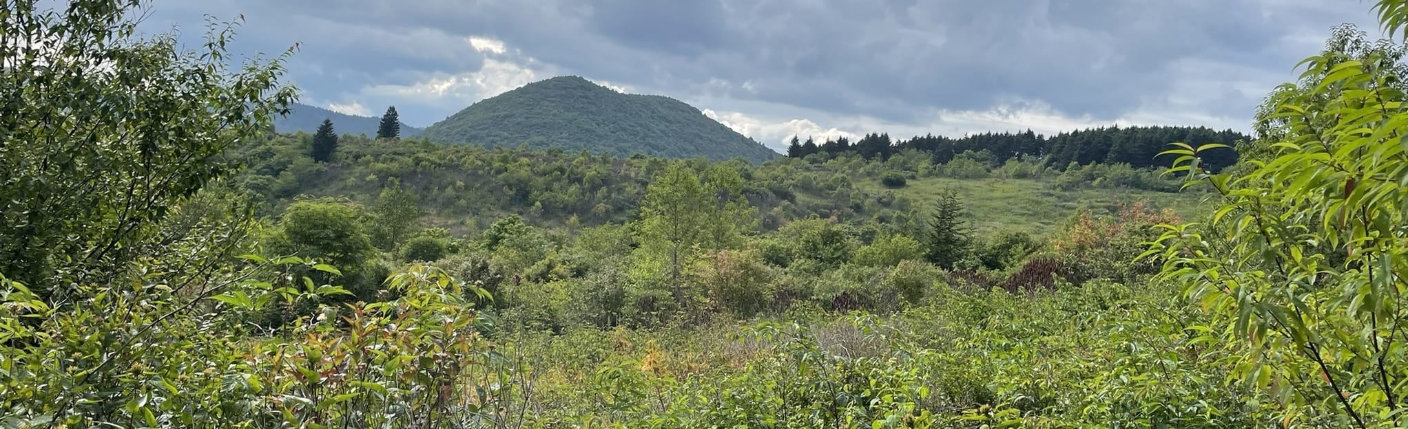 AllTrails | Art Loeb Trail, Little Sam Trail, and Flat Laurel Creek Trail: 70 Reviews, Map ...