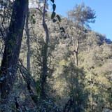 Numantia Falls, New South Wales, Australia - 105 Reviews, Map | AllTrails