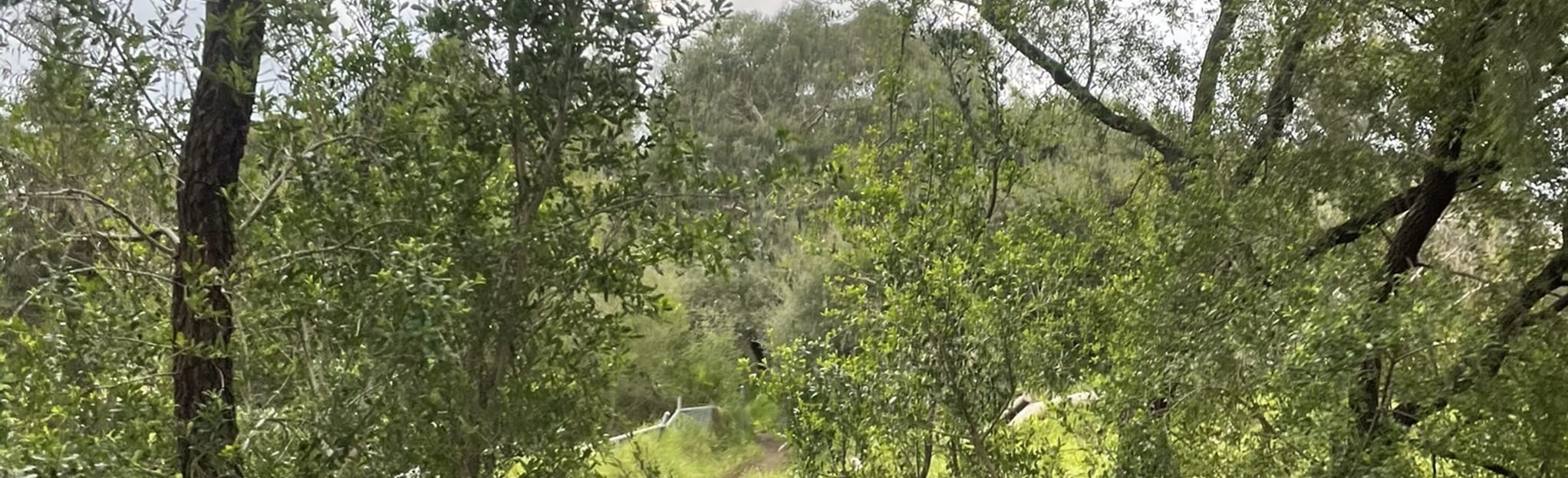 Cheltenham Park Flora & Fauna Reserve Loop: 19 Reviews, Map - Victoria ...