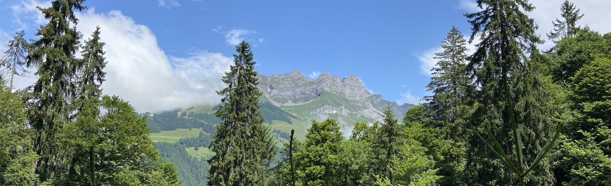 Engelberger Aa Rundweg via Bänklialp: 49 Fotos - Obwalden, Schweiz ...