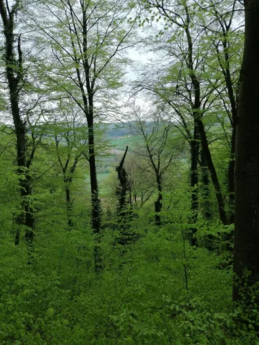 Best Hikes and Trails in Gilsdorf | AllTrails