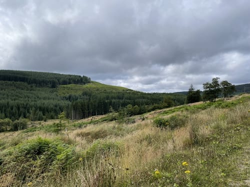 2023 Best Moderate Trails in Fetteresso Forest | AllTrails