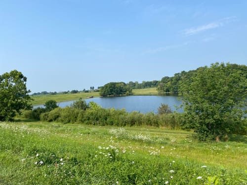 Best Hikes and Trails in Hubbard Valley Park | AllTrails