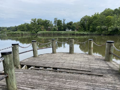 Best Hikes and Trails in Hackensack River County Park | AllTrails