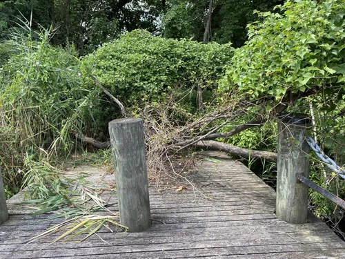 Best Hikes and Trails in Hackensack River County Park | AllTrails