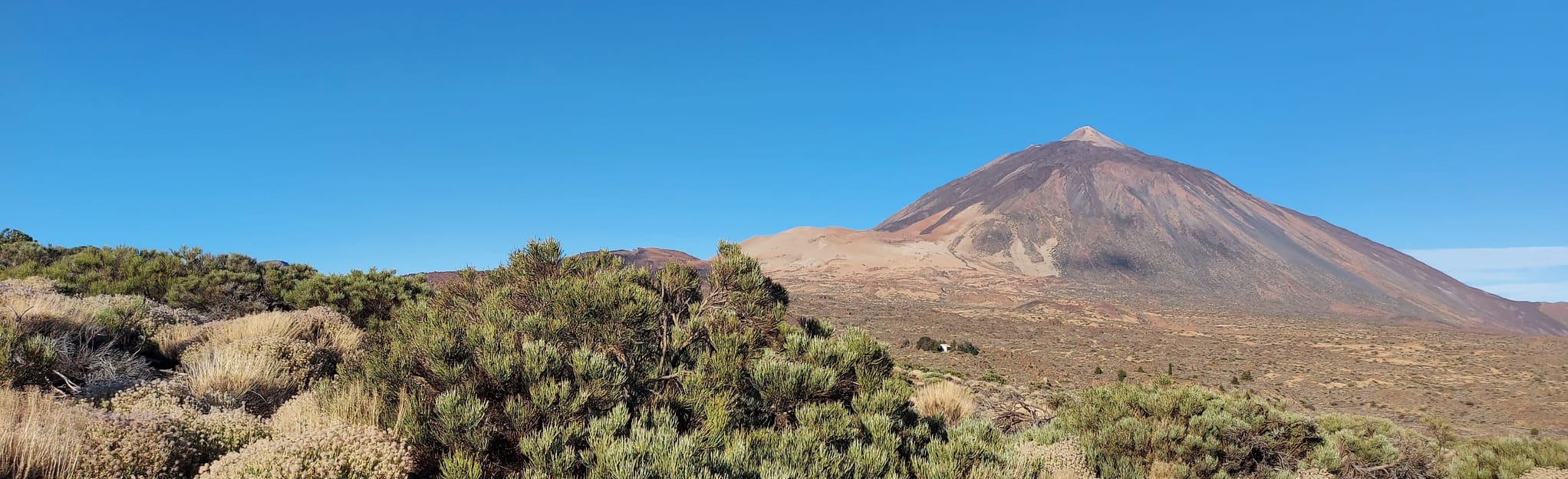 Pista de Siete Cañadas - Pista de Montaña Limón - La Crucita: 87 Photos ...