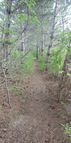 Best Hikes and Trails in Kelly Lake Park | AllTrails