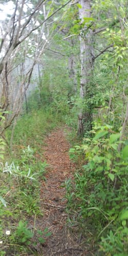 Best Hikes and Trails in Kelly Lake Park | AllTrails