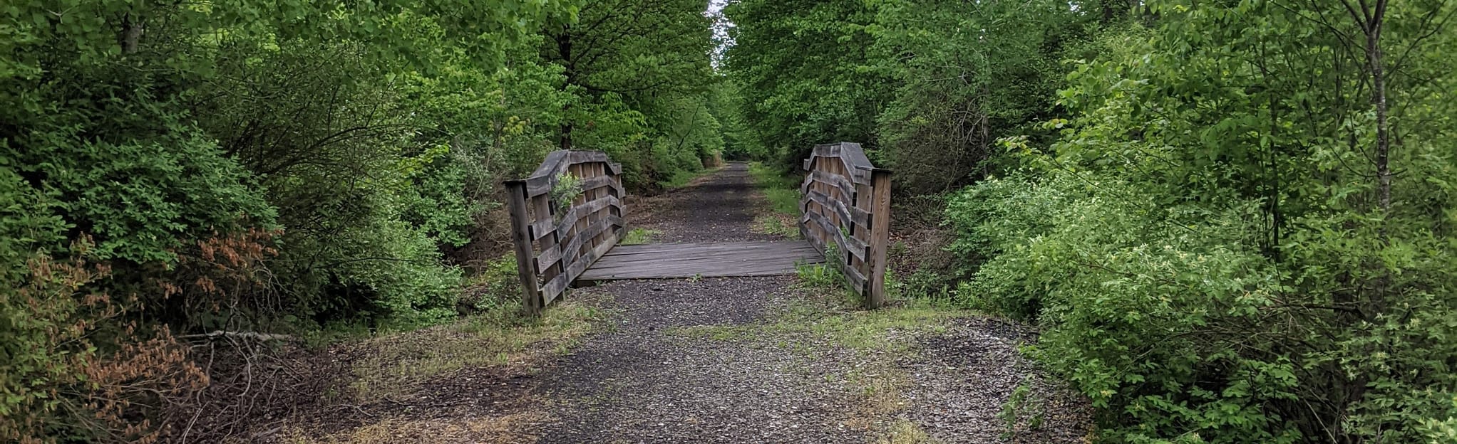 Wolf Run Trail: 68 Reviews, Map - Pennsylvania | AllTrails