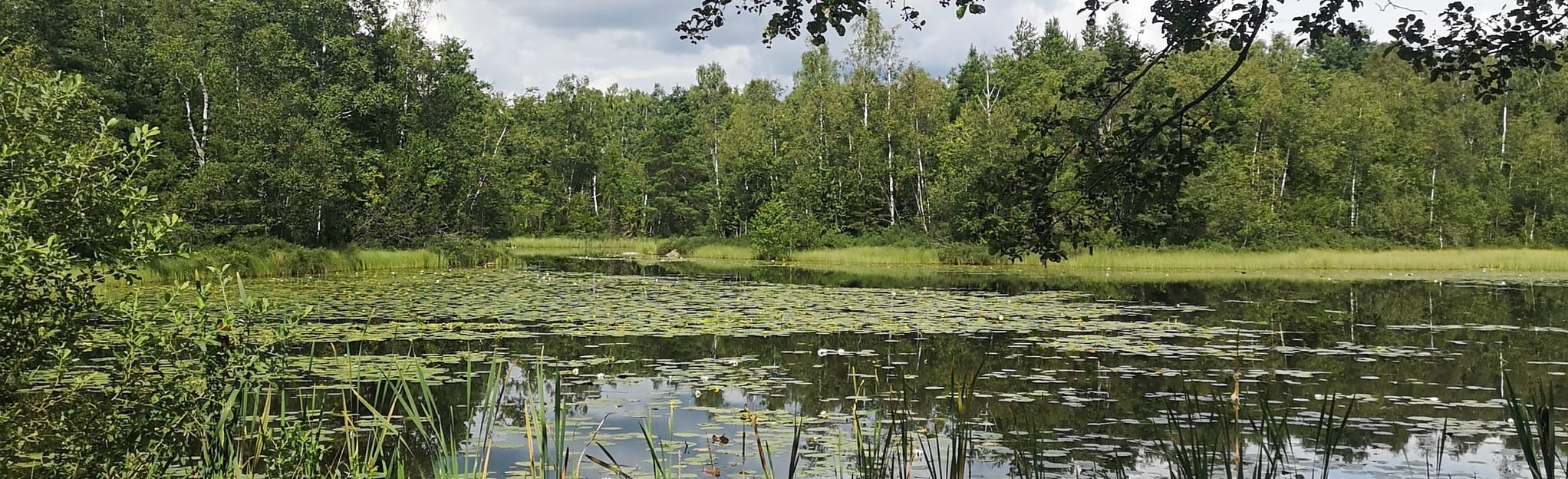 Orrefors vandringsled, Kalmar, Sweden - 18 Reviews, Map | AllTrails