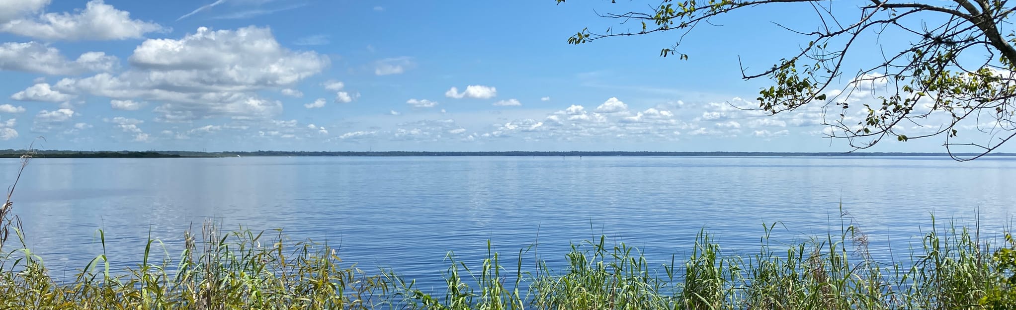 Sanford Riverwalk Trail | Mappa, Guida - Florida | AllTrails