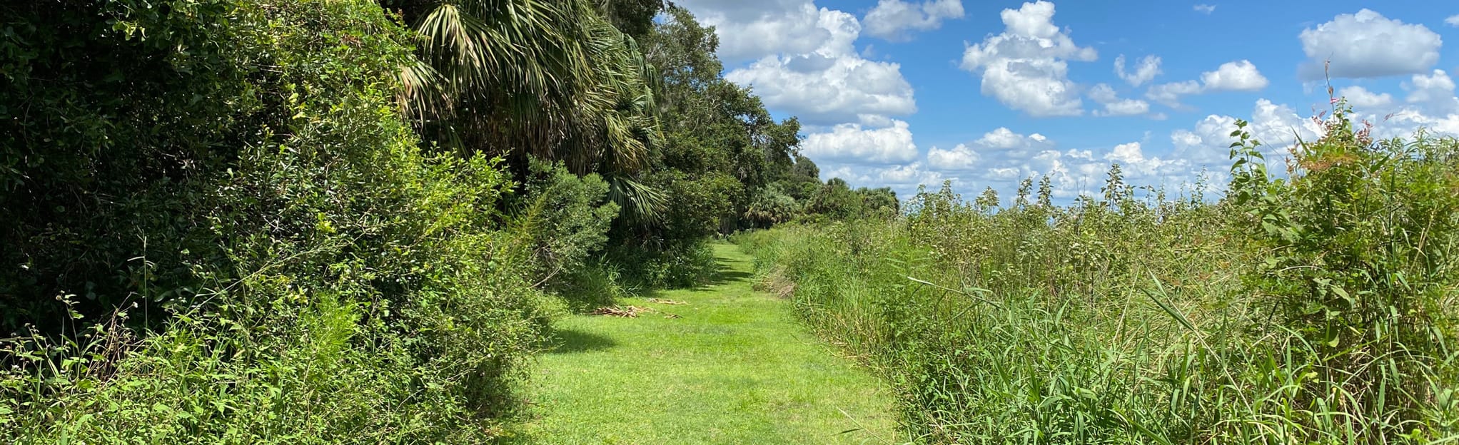 Gemini Springs Park Loop, Florida - 186 Reviews, Map | AllTrails