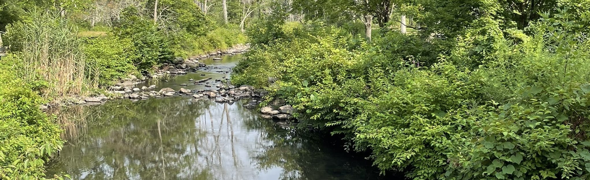 Pound Ridge Loop: 84 Reviews, Map - New York | AllTrails