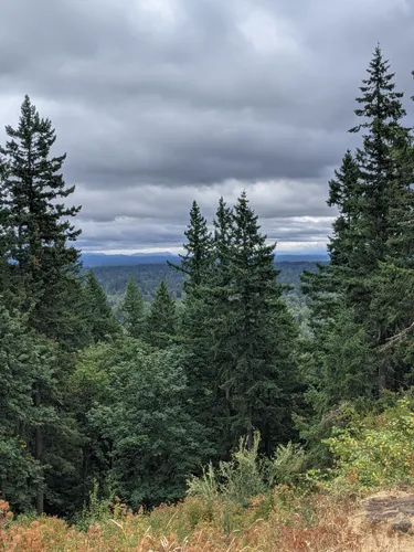 Best Hikes and Trails in Spring Lake/Lake Desire Park | AllTrails